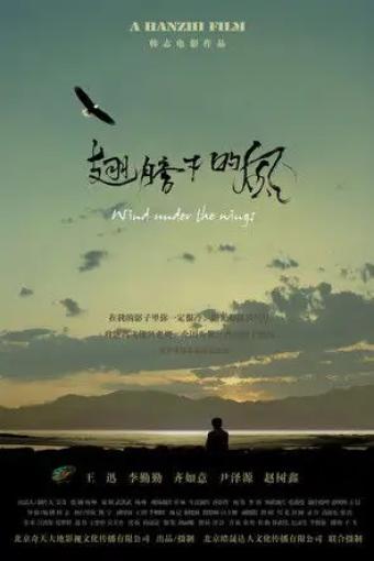 Nonton Wind Under The Wings (2010) Sub Indo | LAYARKACA21